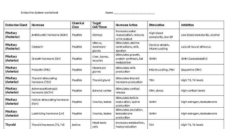 Endocrine System Worksheet Chart S18: Hormones & Actions Explained ...