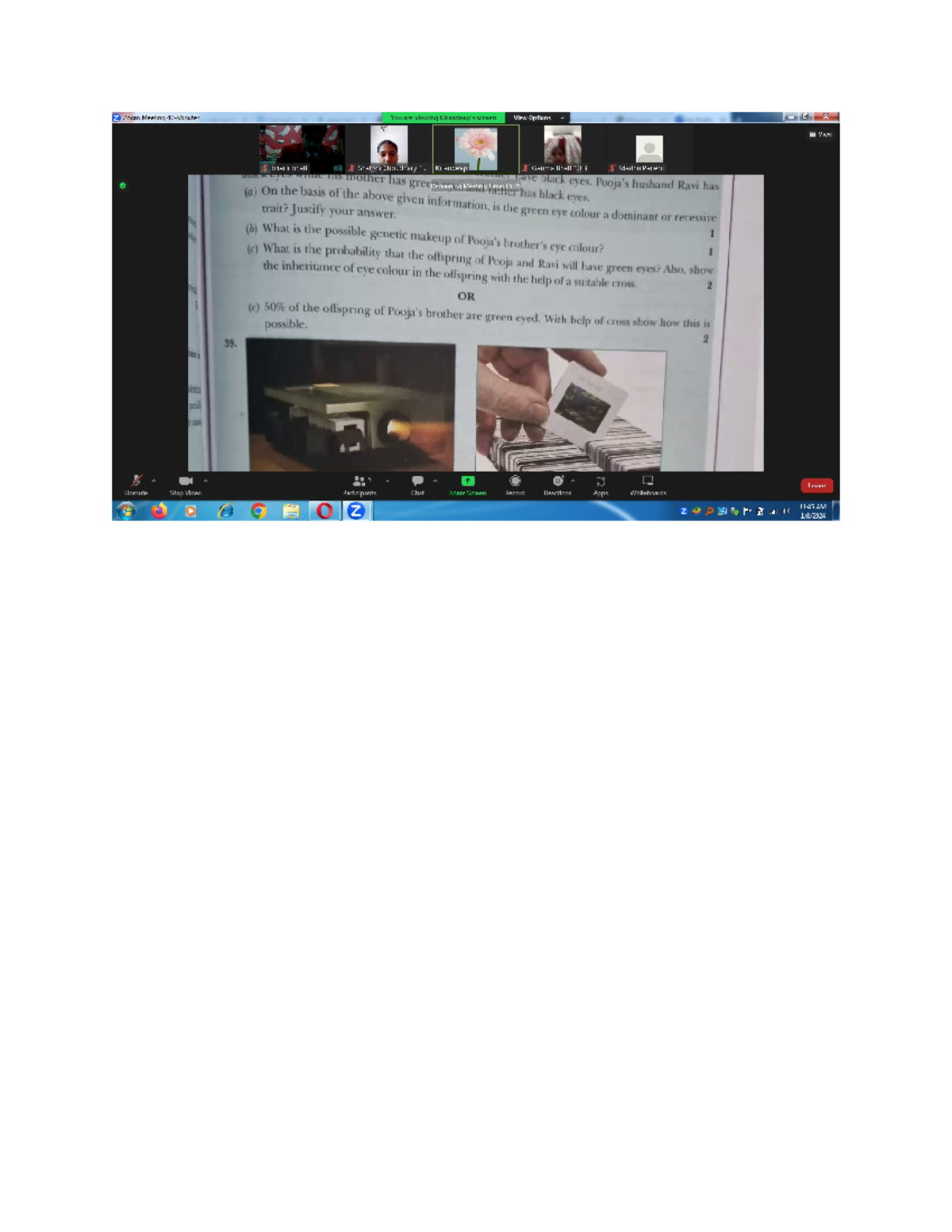 Biology Project: Genetics of Eye Color Inheritance - Studocu