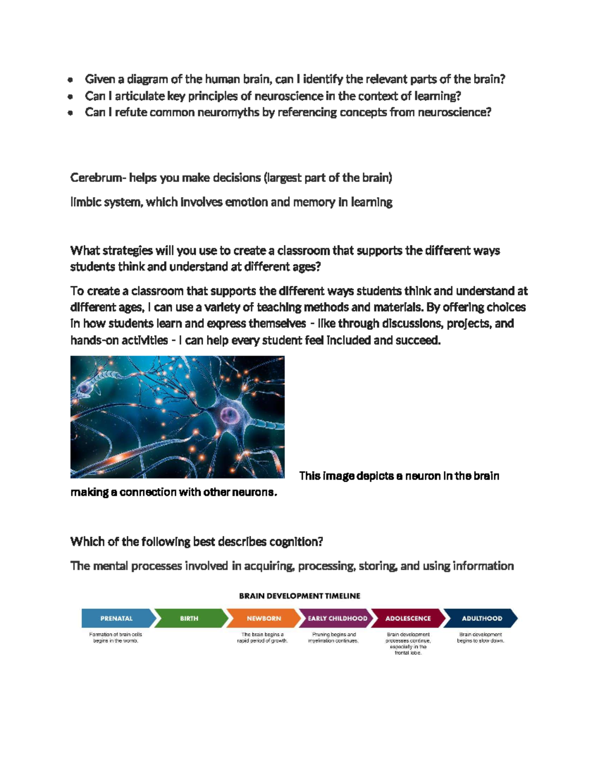 Neuroscience in Education: Understanding Brain Function and Learning Strategies - Studocu
