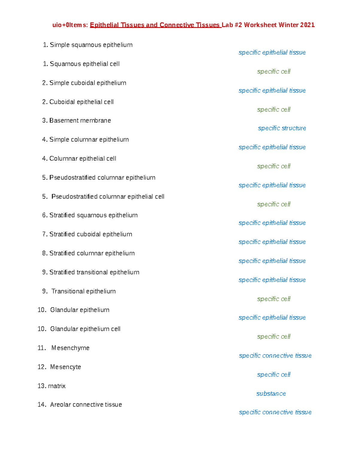 Epithelial and Connective Tissues Lab #2 Worksheet - Winter 2021 - Studocu