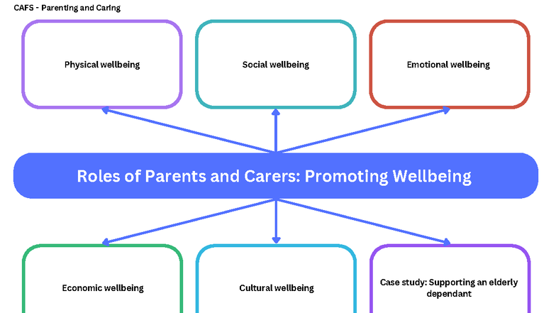 CAFS 2222 Case Study: Supporting Wellbeing in Parenting and Caring ...