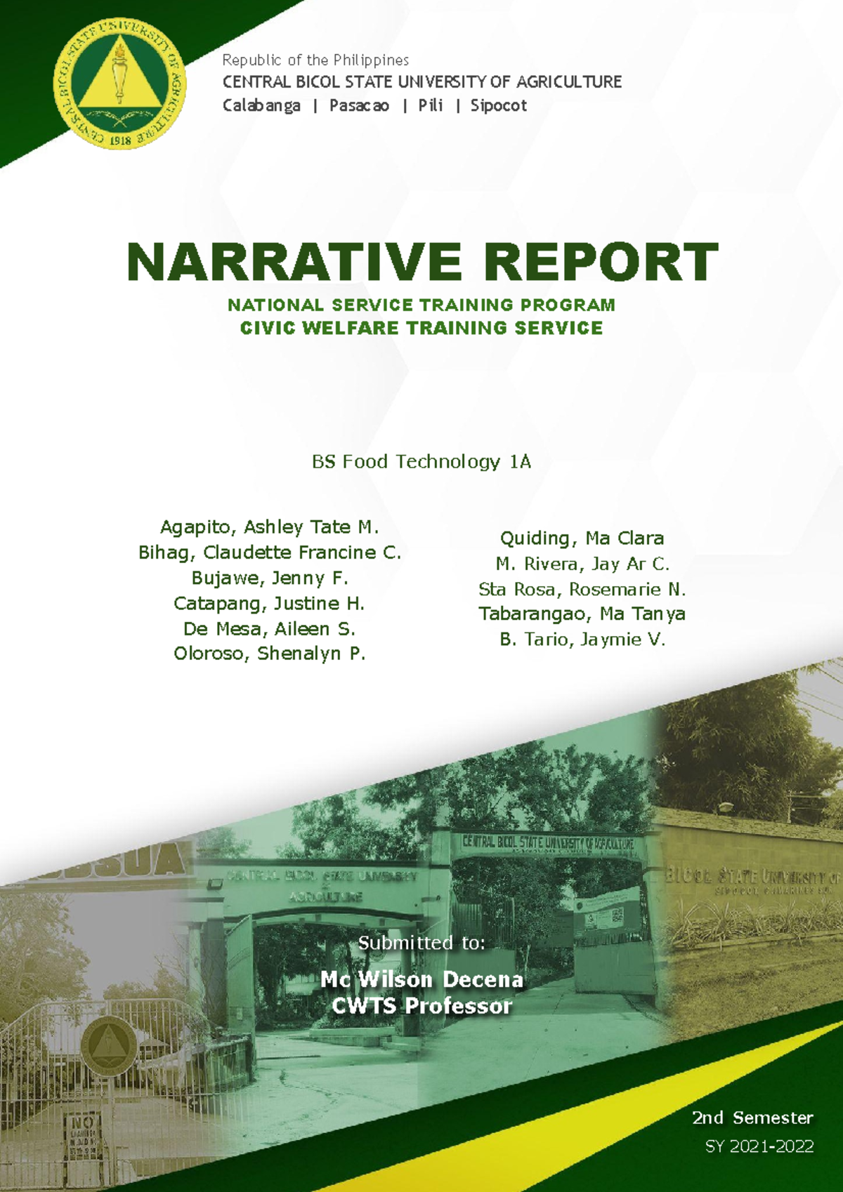 BSFT1A CWTS Community Assessment & Involvement Narrative Report - Studocu