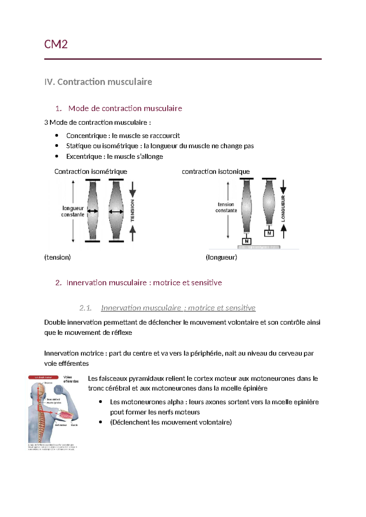 CM2 Physio - Contraction Musculaire et Innervation Musculaire - Studocu