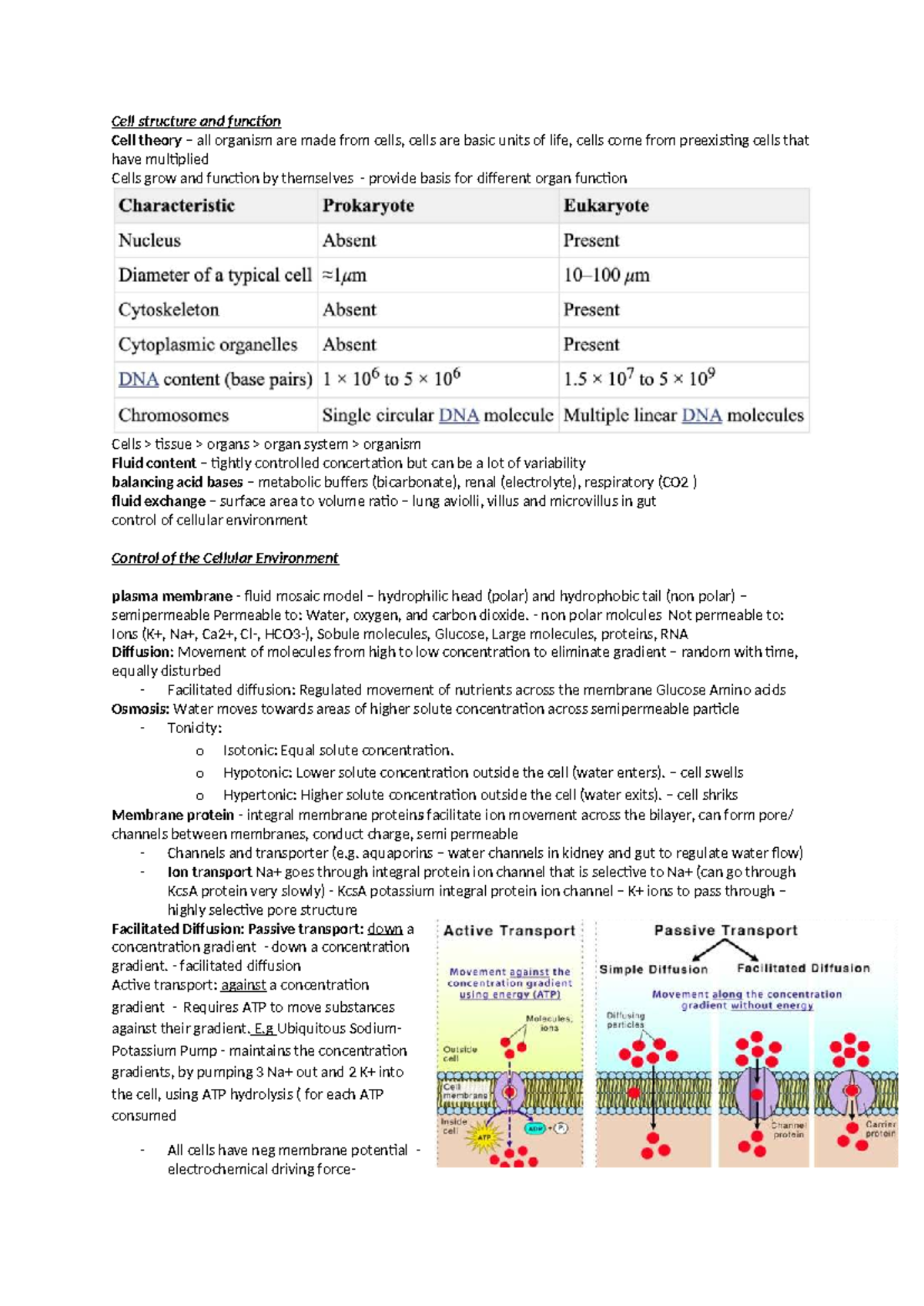 BIO 101: Cell Structure, Function, and Homeostasis Notes - Sem 1 - Studocu