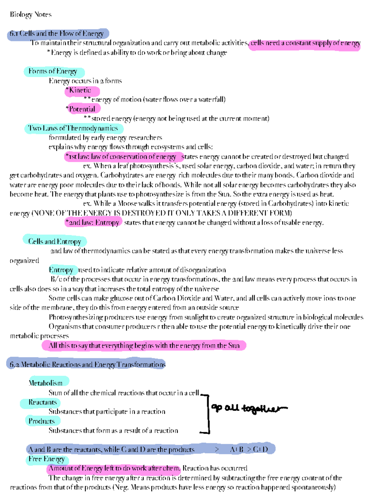 Biology Notes 6.1-6.3: Cells, Energy Flow & Metabolic Reactions - Studocu