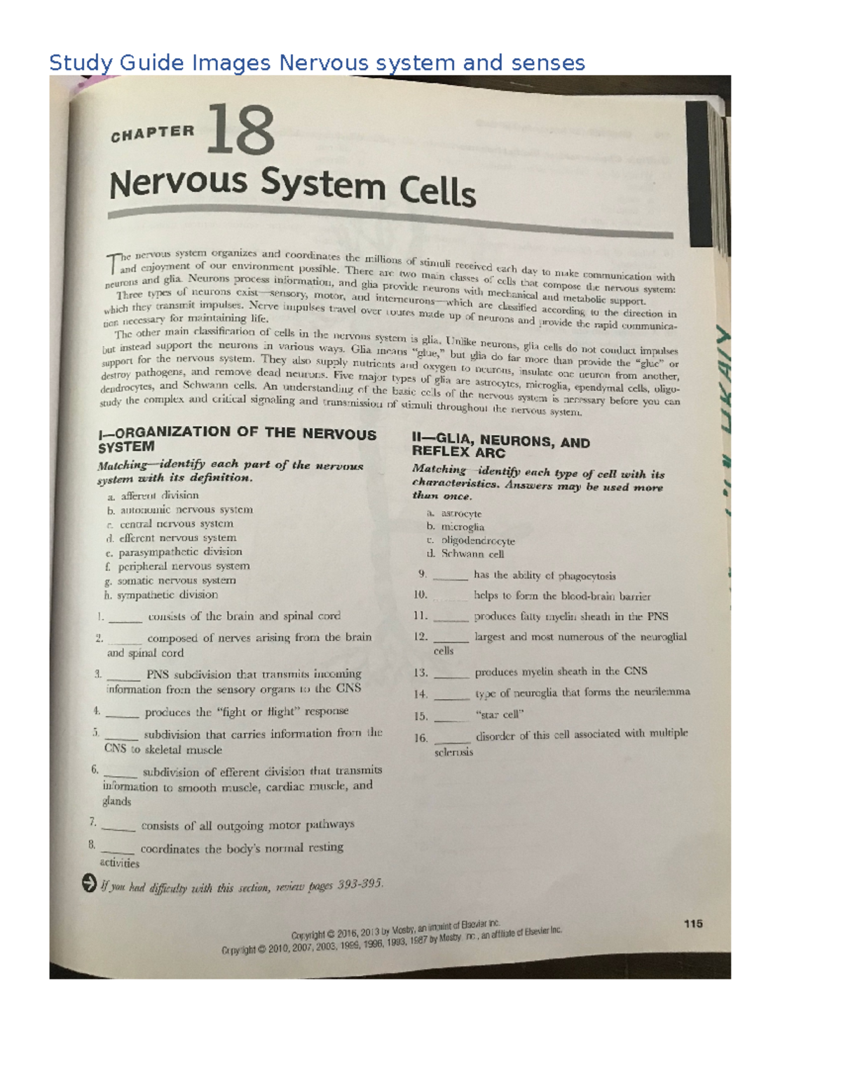 Nervous System & Senses: Study Guide Images for Effective Learning ...