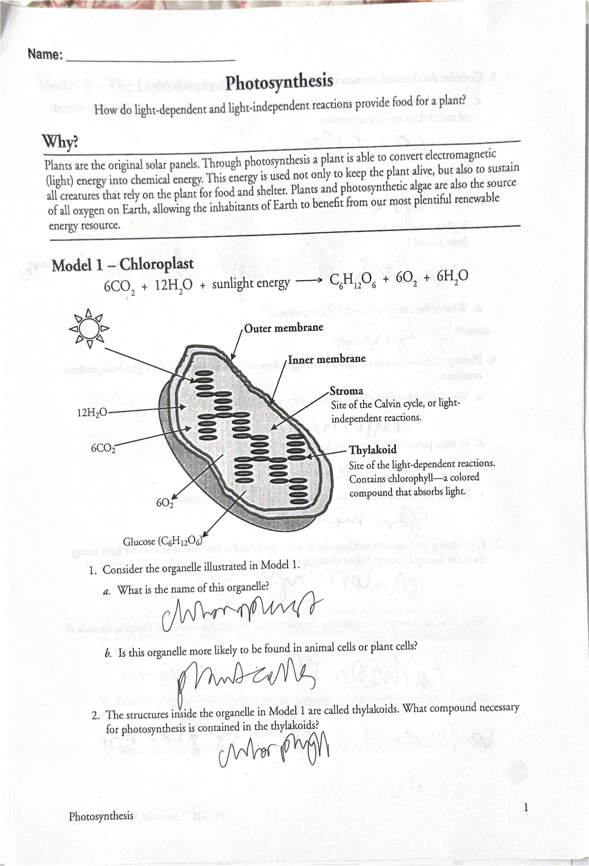 Biology 9: Photosynthesis Study Guide and Reactions Analysis - Studocu