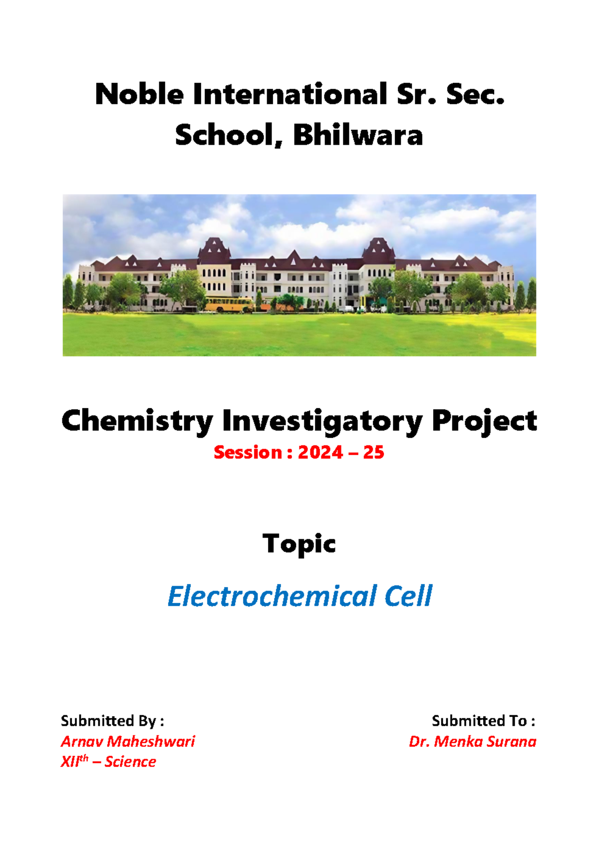 Chemistry Investigatory Project on Electrochemical Cell (Class XII ...