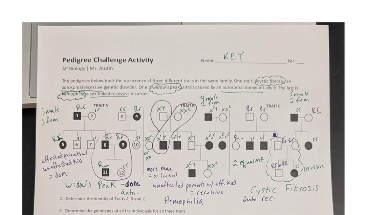 Pedigree Challenge Activity KEY: AP Biology I Analysis - Studocu