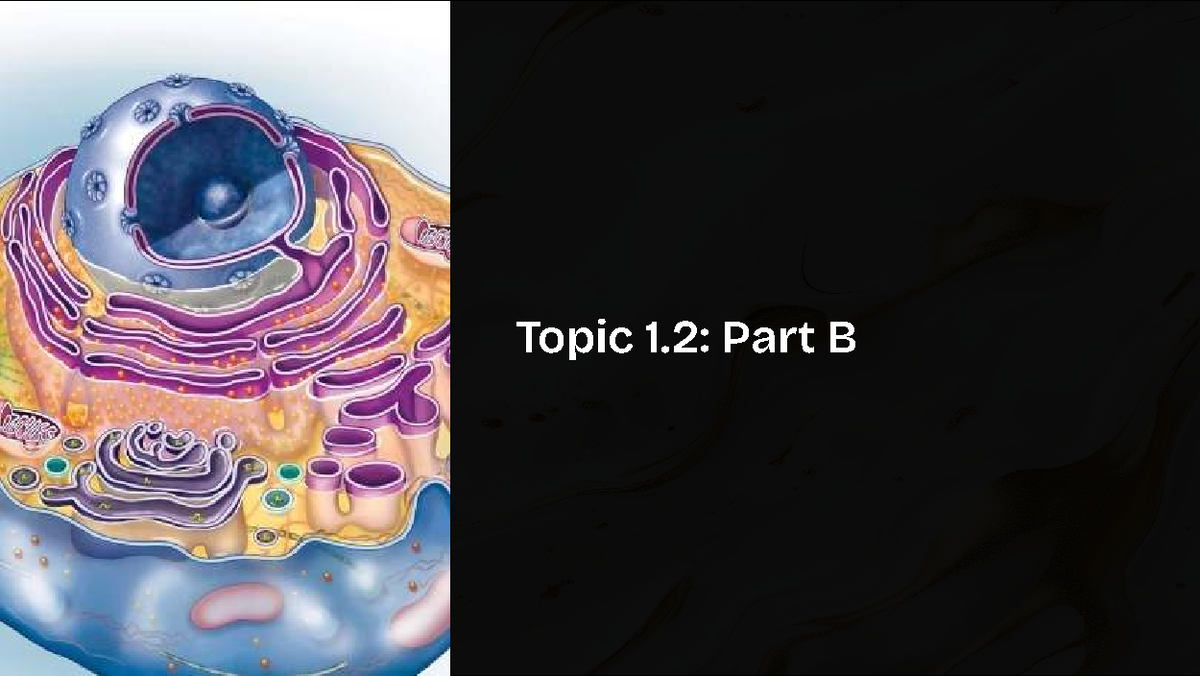 ANPH-1001: Unit 1.2 - Cell Structure and Function Overview - Studocu