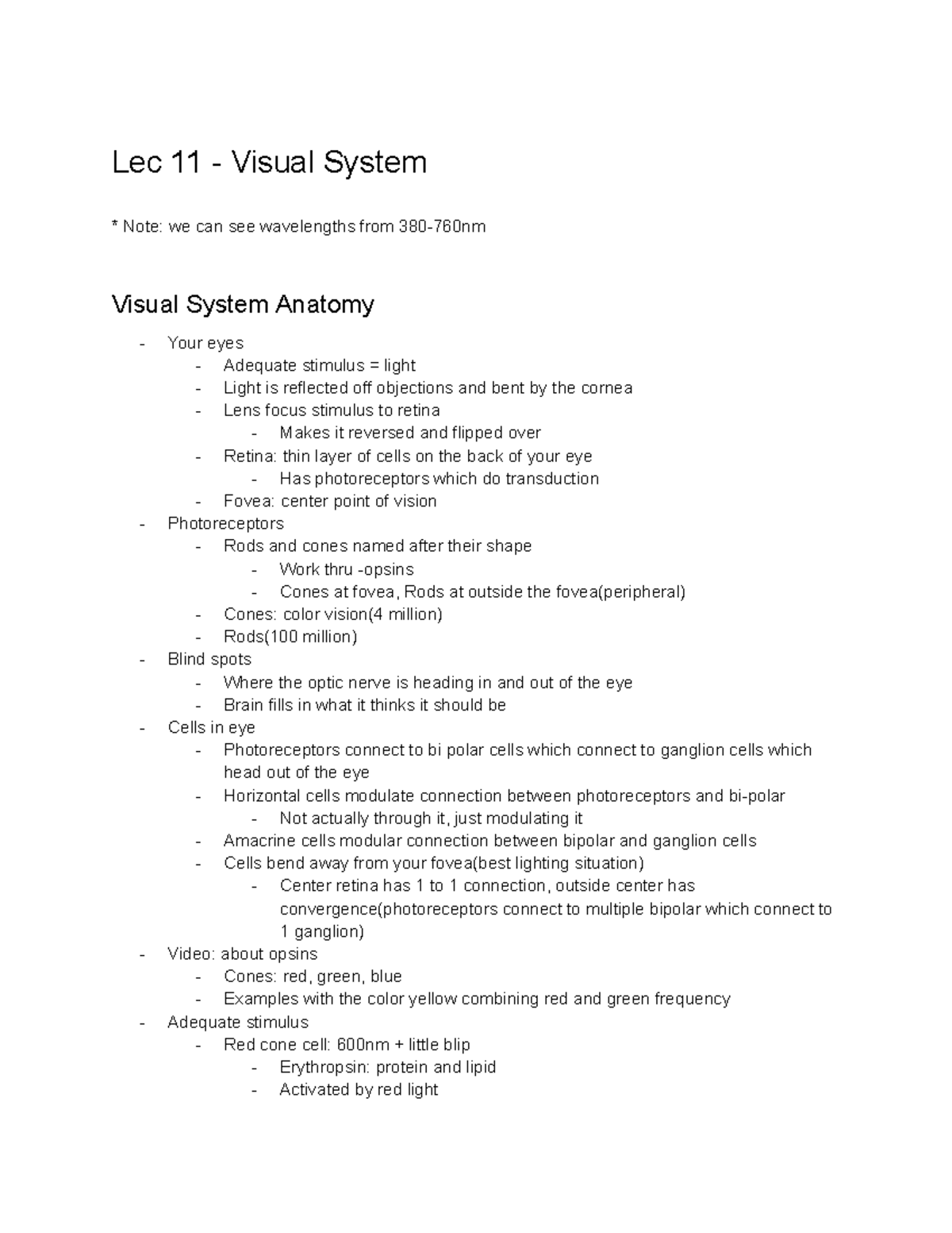 Lecture 11: Visual System Anatomy & Pathways (FBBC 101) Notes - Studocu