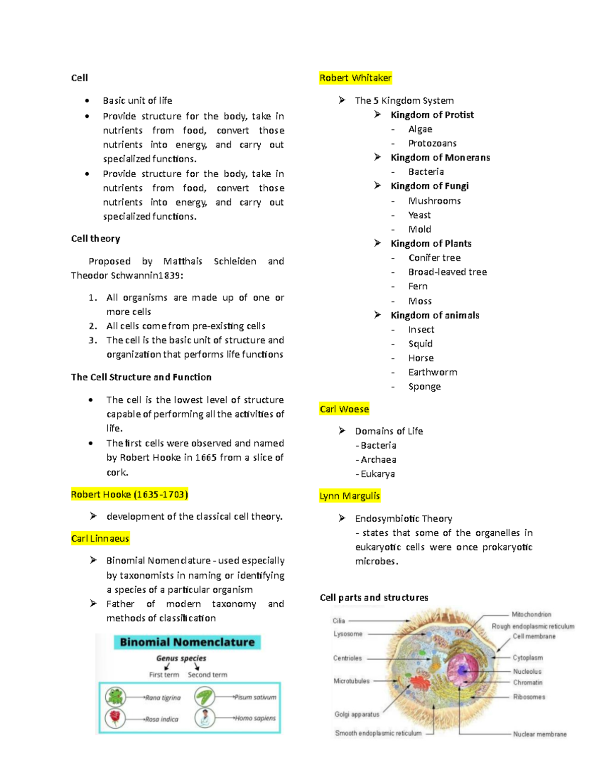 Biochem 101: Cell Structure, Function, and Enzyme Dynamics - Studocu