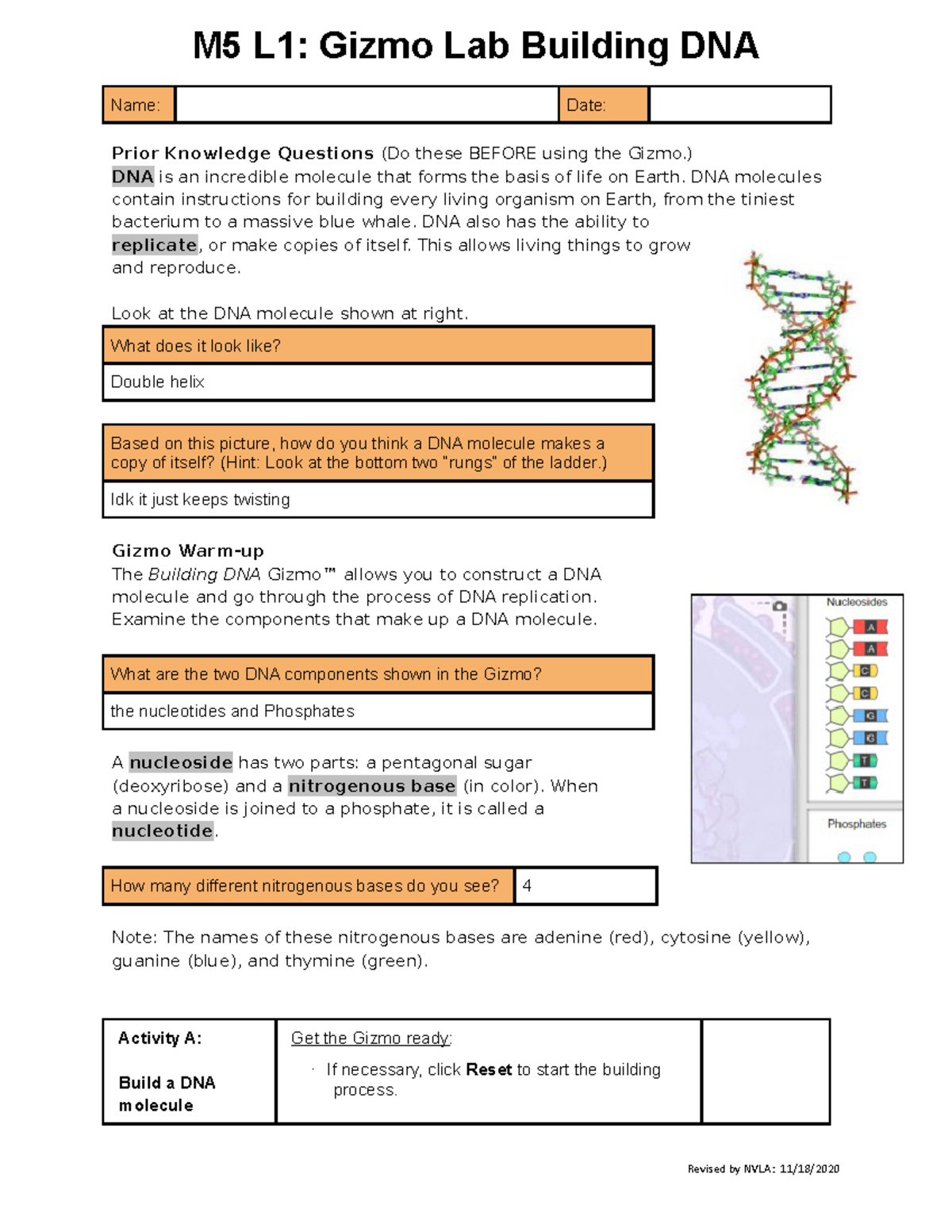 M5 L1 Gizmo Lab: Understanding DNA Structure & Replication - Studocu