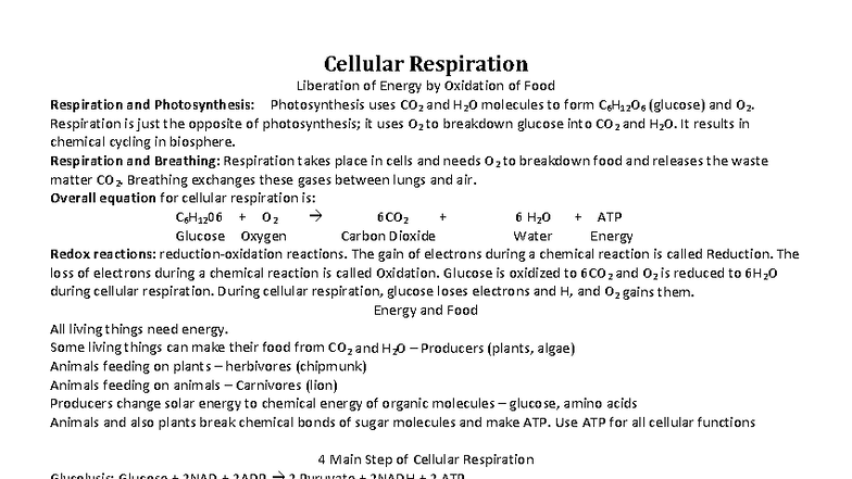 [BIO] Cellular Respiration: Energy Liberation and Pathways - Studocu