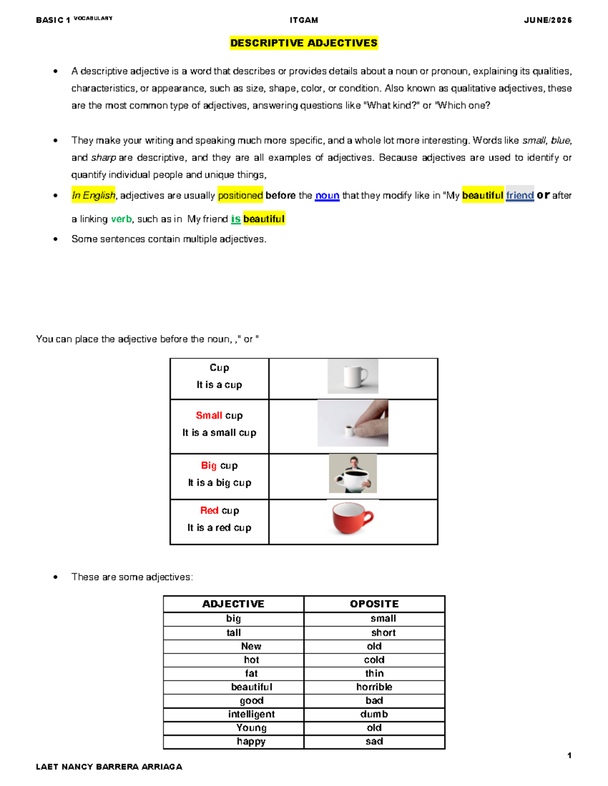 BASIC 1 VOCABULARY ITGAM: Descriptive Adjectives Overview - Studocu