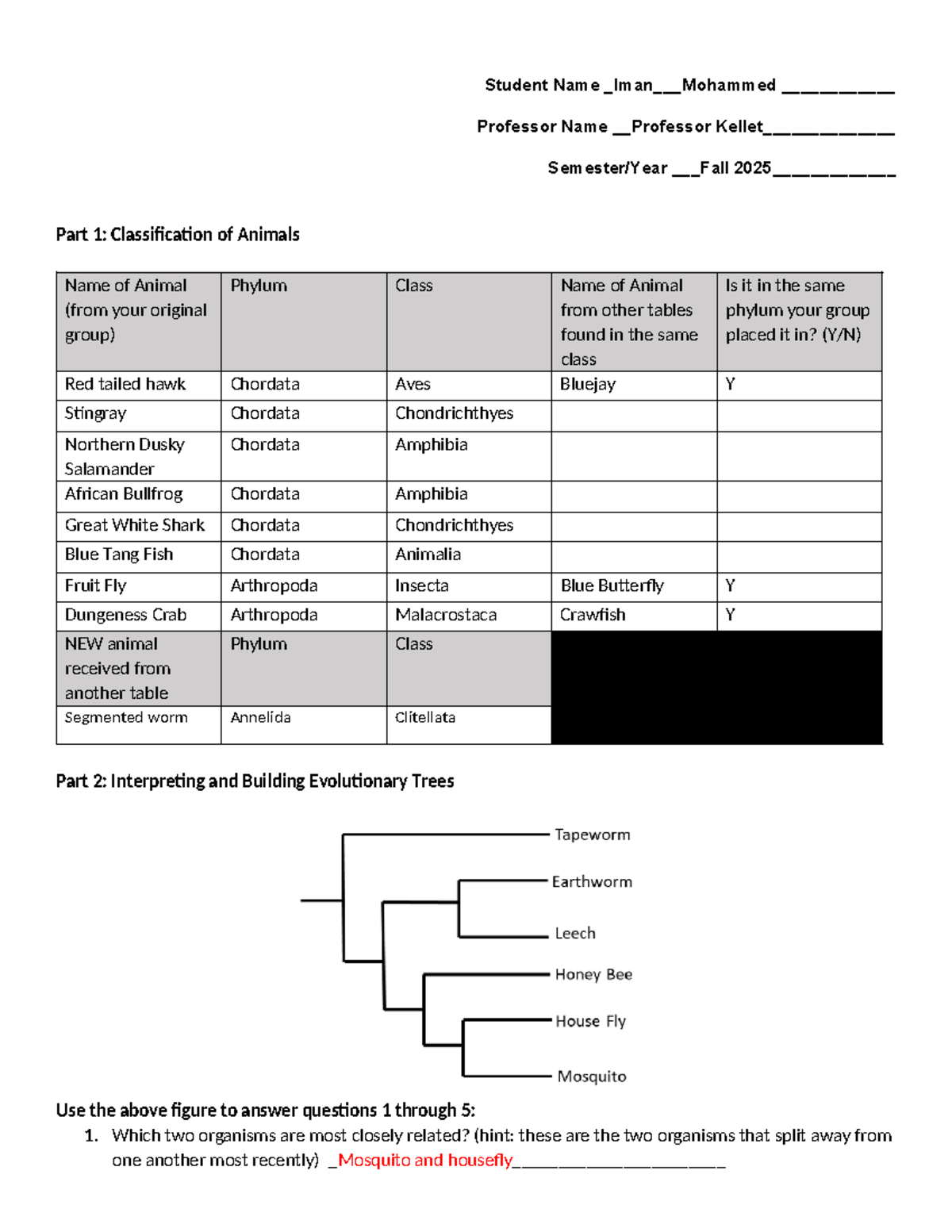Classification of Animals and Evolutionary Trees - Bio 101 Lab Report ...