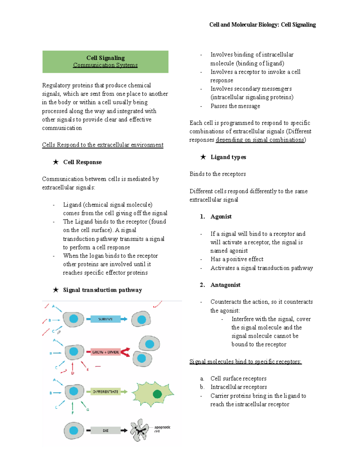Molecular Biology Cell Signaling Notes - Cell Signaling Communication ...