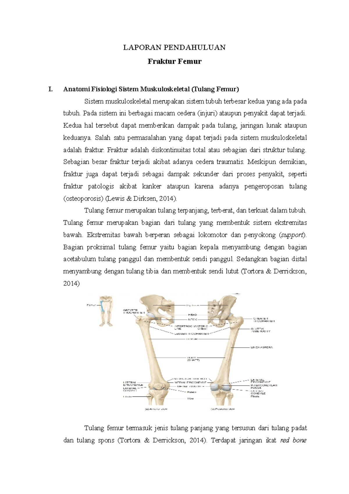 LP Fraktur Femur: Pemahaman dan Penatalaksanaan pada Kasus Fraktur ...