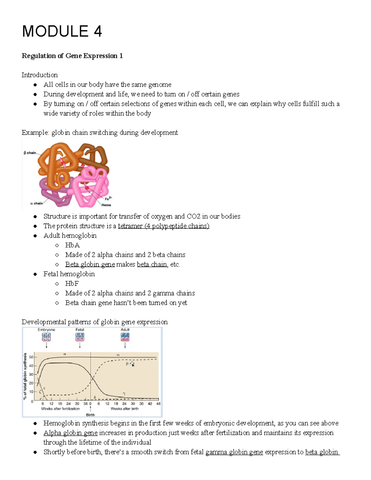 Module 4 Regulation of Gene Expression - MODULE 4 Regulation of Gene ...