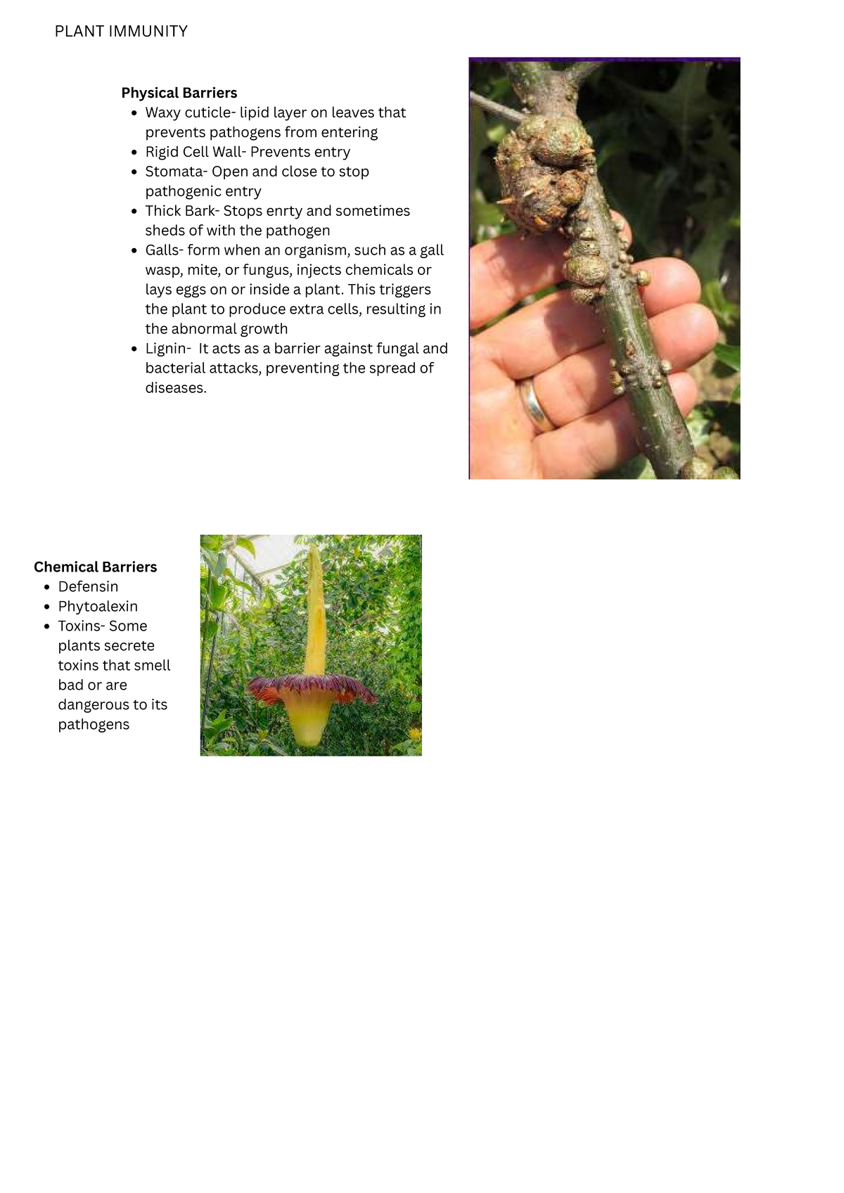 PLANT IMMUNITY & ANTIBODIES: Physical Barriers & Autoimmune Responses ...