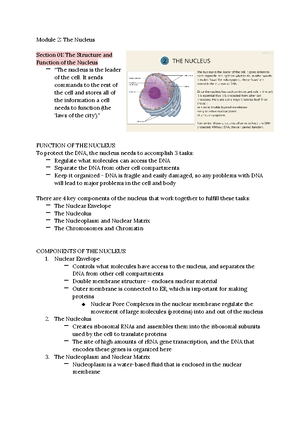 PHGY 170 Learning Outcome Assignment Two - PHGY 170 – Learning Outcome ...