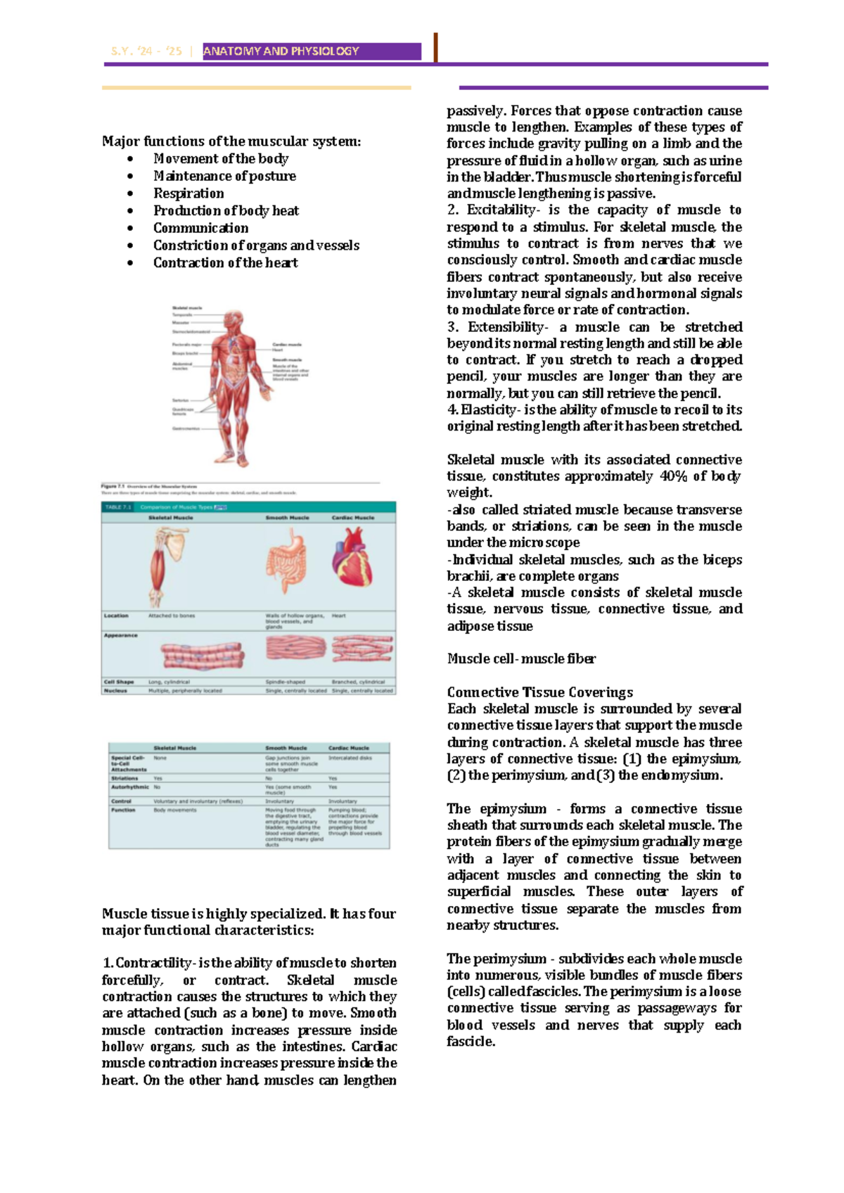 Muscular System Overview and Key Functions - Anatomy & Physiology 2024 ...