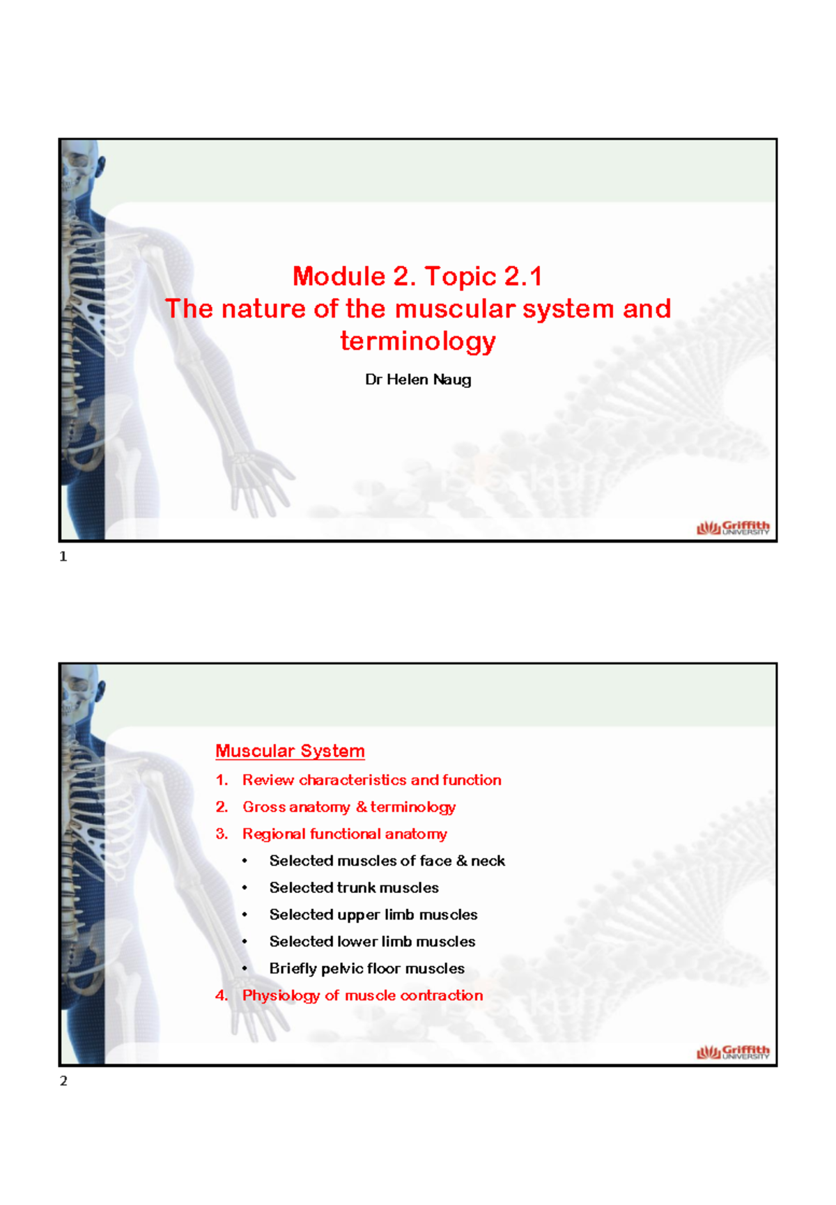 Module 2: Detailed Study of the Muscular System and Anatomy - Studocu