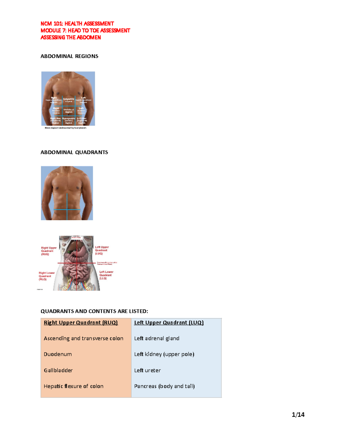 Abdominal Assessment in Health Assessment Notes Guides you can use in ...