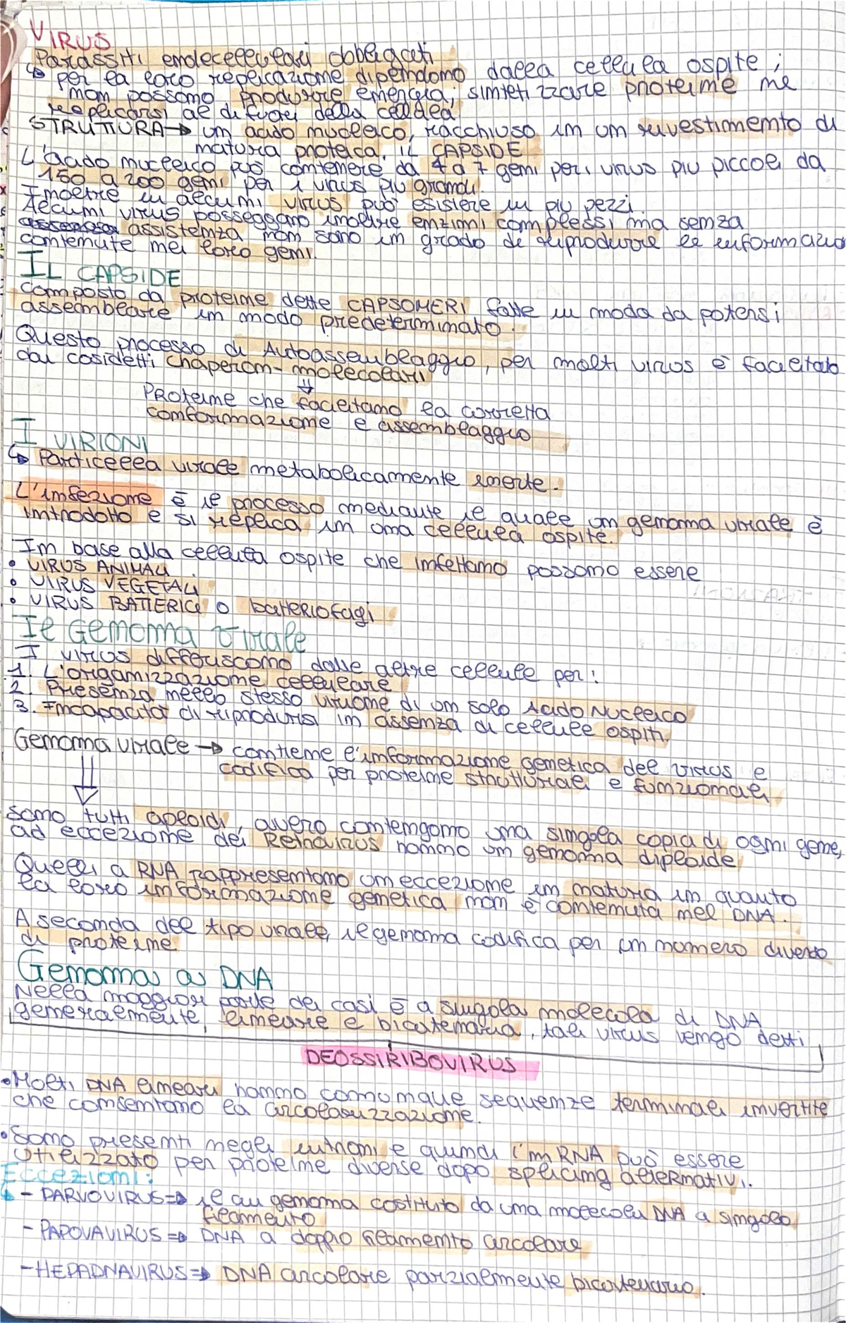 V 40 Capside e Replicazione dei Virus: Studio Approfondito - Studocu