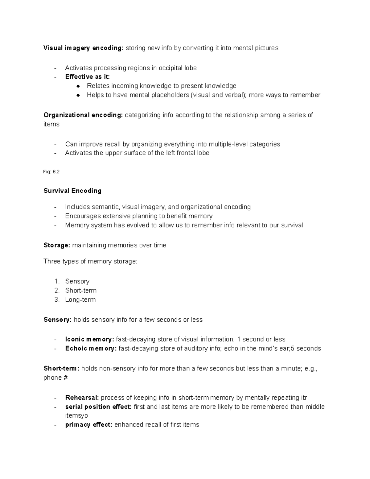 Psychology 111 Lecture Notes: Memory Encoding and Storage Concepts ...