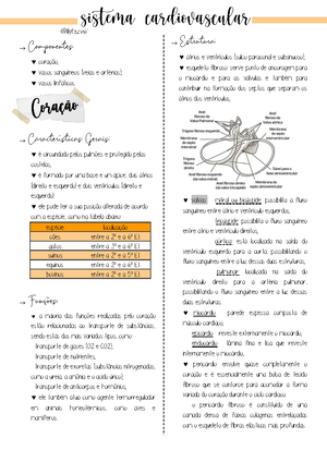 Sistema Ázigo venoso - O sistema um conjunto de veias situadas de cada ...