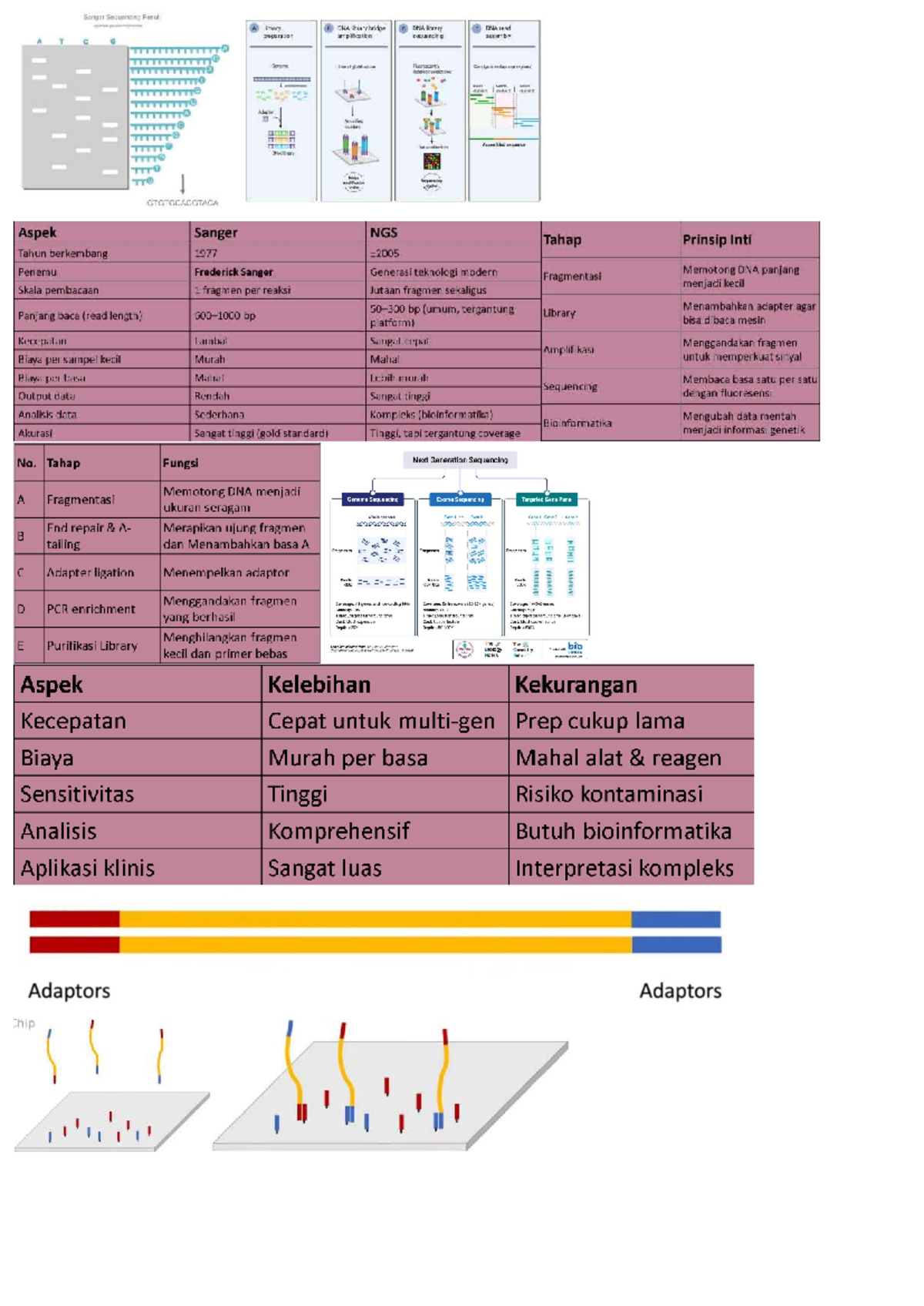 DNA Library Techniques and Next Generation Sequencing (BIO101) - Studocu