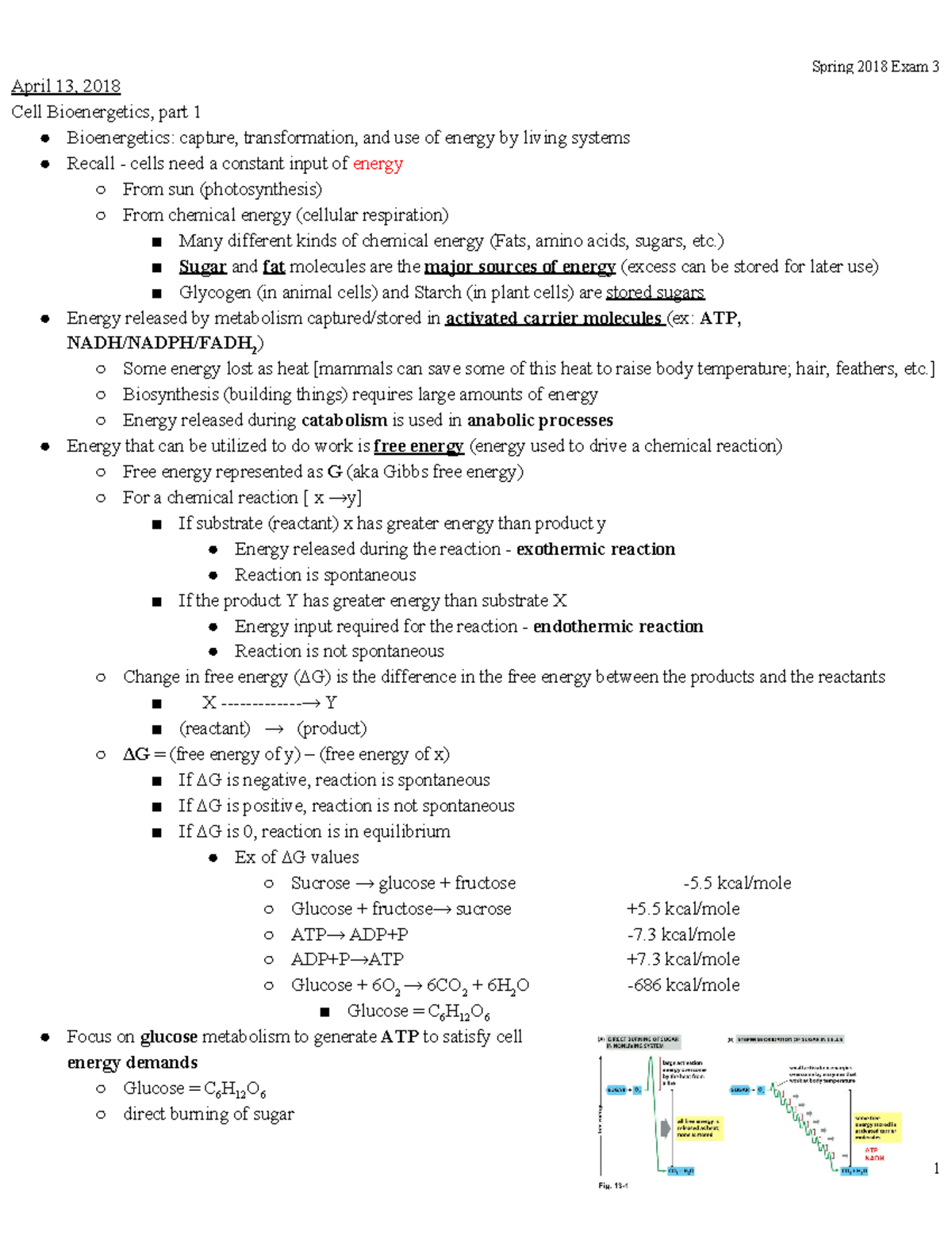 Cell Biology Lecture Notes - Test 3 - Spring 2018 Exam 3 April 13, 2018 ...