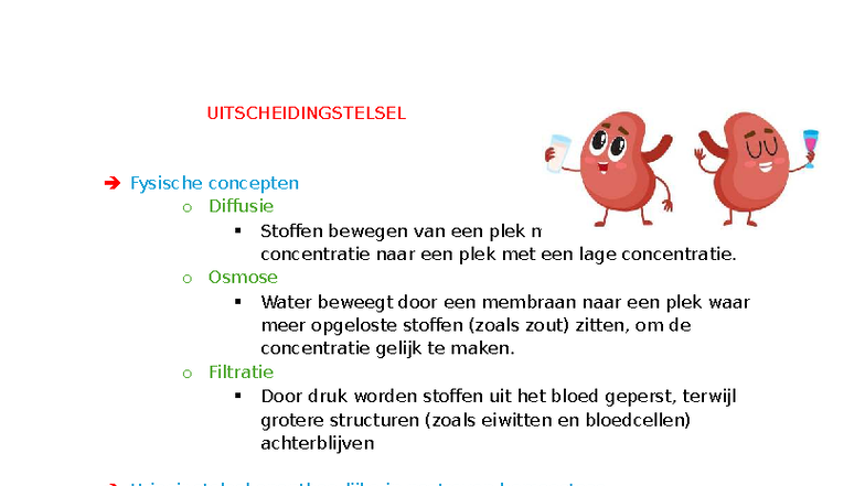 UITSCHEIDINGSTELSEL Anatomie en Functies van het Urinair Stelsel - Studocu