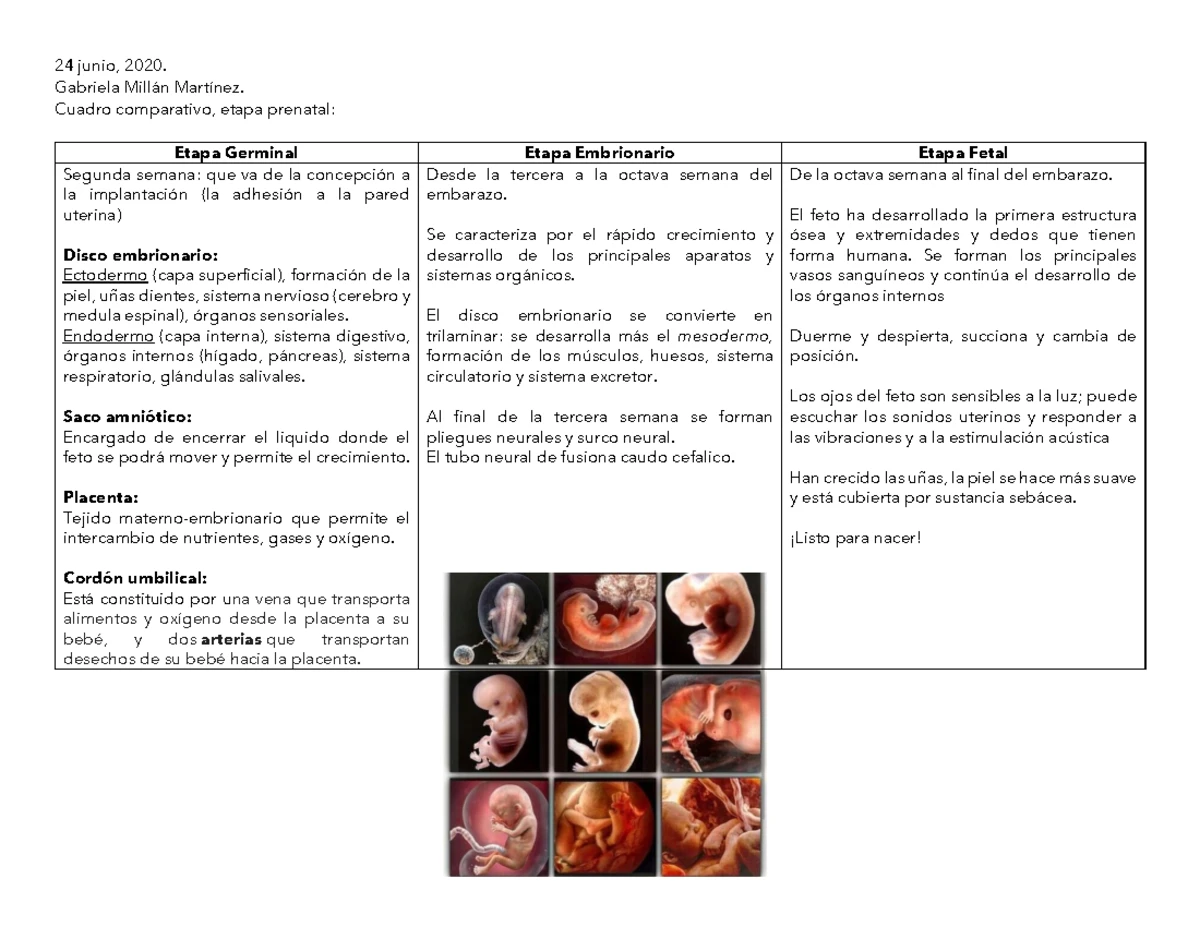 Zonas de la mano - MUSCULOS TENARES ZONAS DE LA MANOZONAS DE LA MANO ...