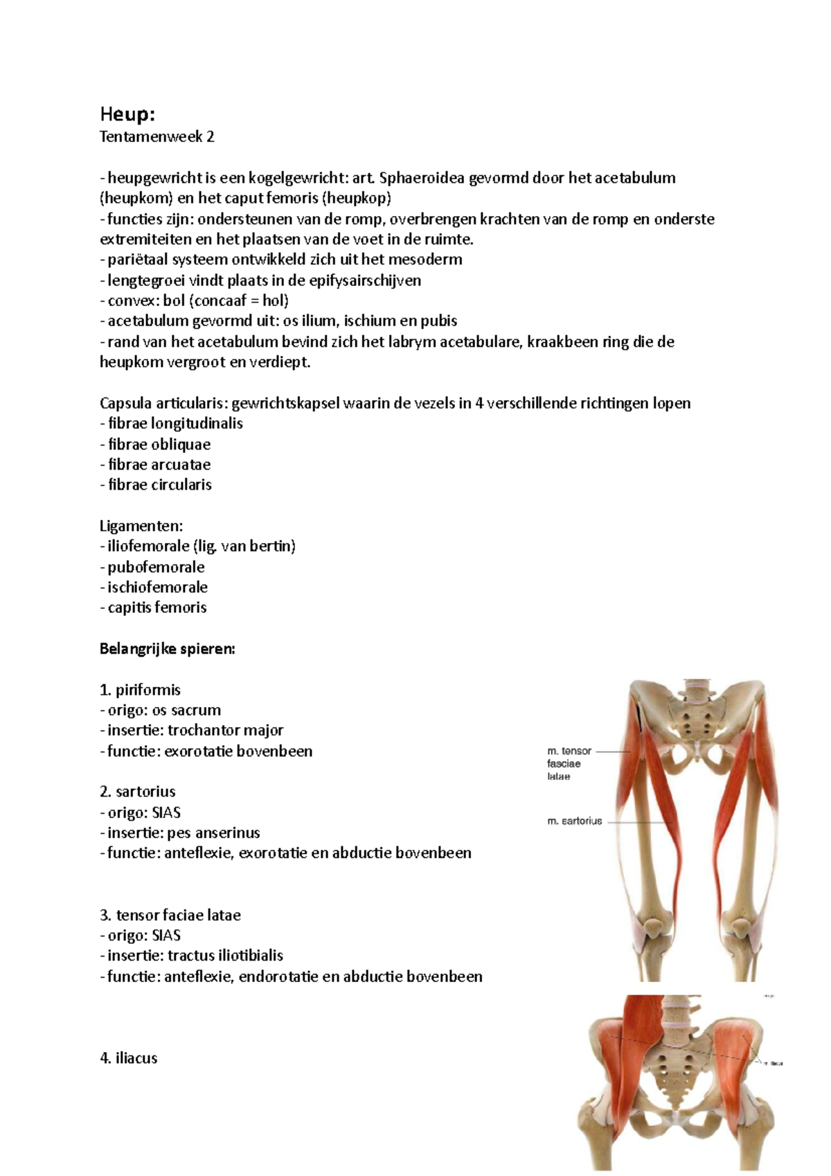 Heup Anatomie en Pathologie: Overzicht voor Tentamenweek 2 - Studeersnel