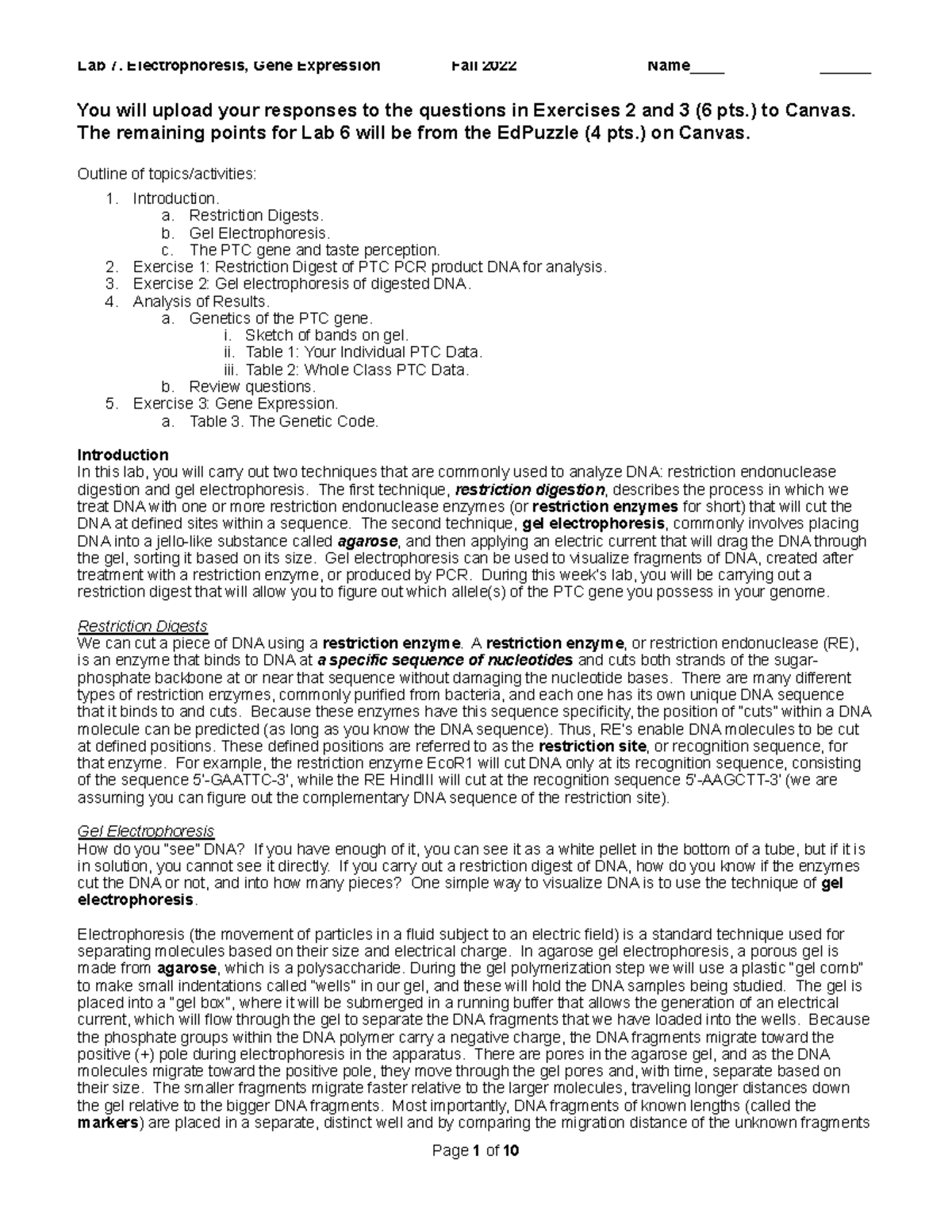 Bio Lab 7: Gel Electrophoresis and Gene Expression Analysis - Studocu