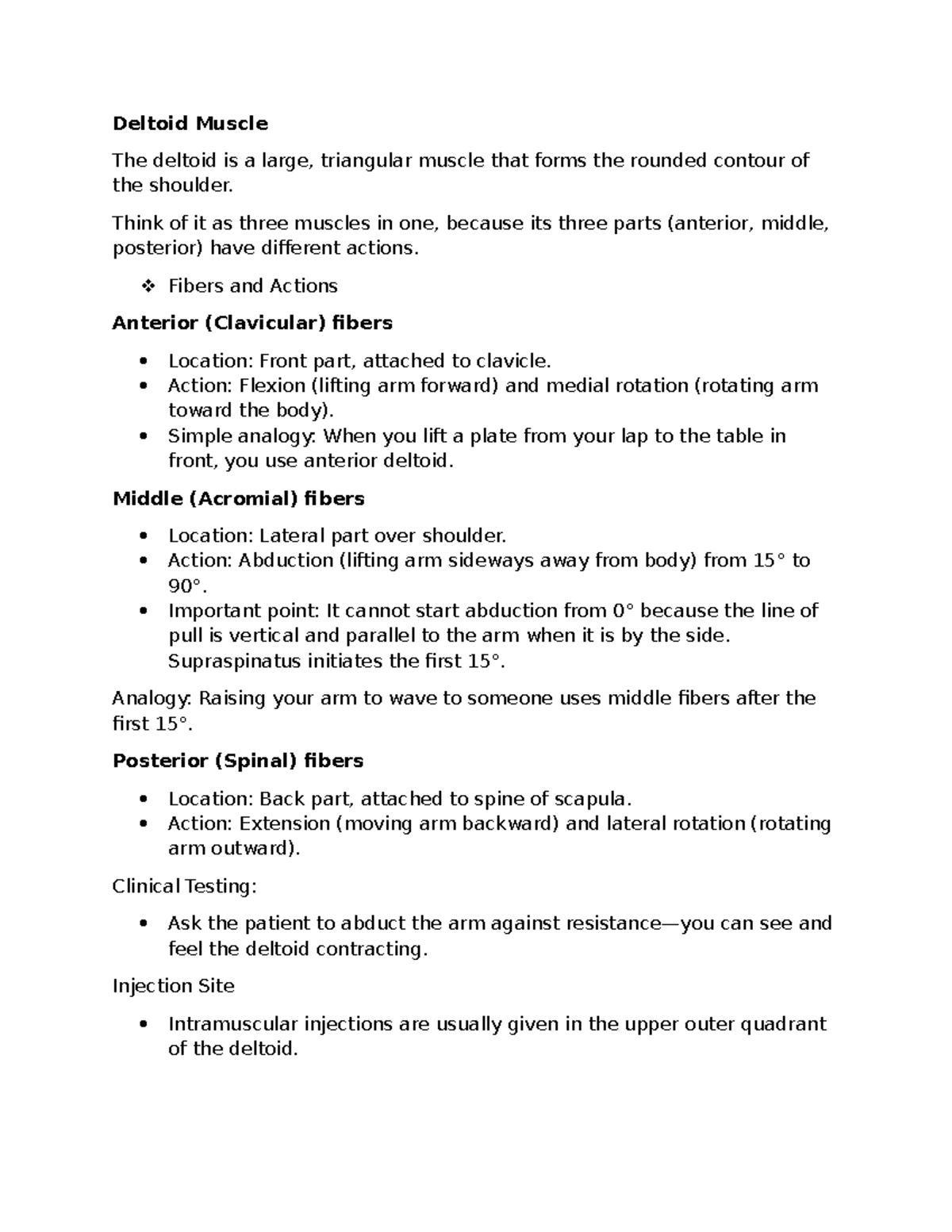 Deltoid Muscle Anatomy and Function Overview - Studocu