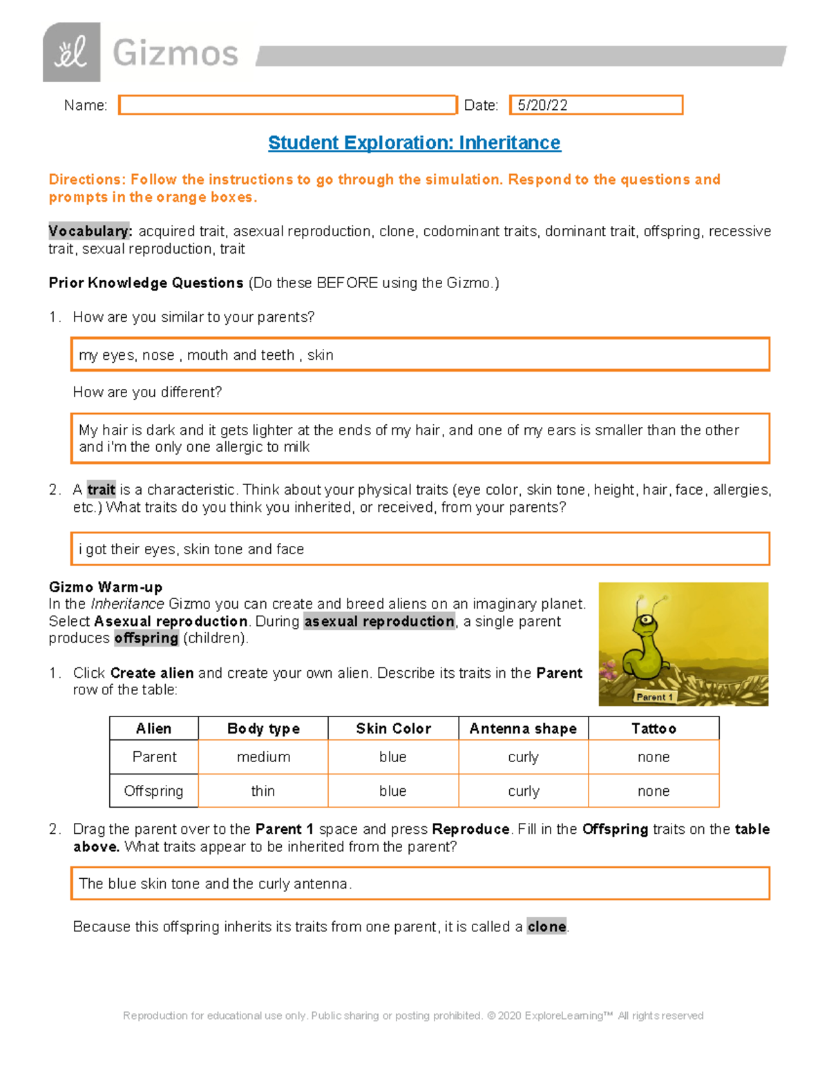 Gizmo Inheritance Exploration: Traits & Reproduction - Studocu