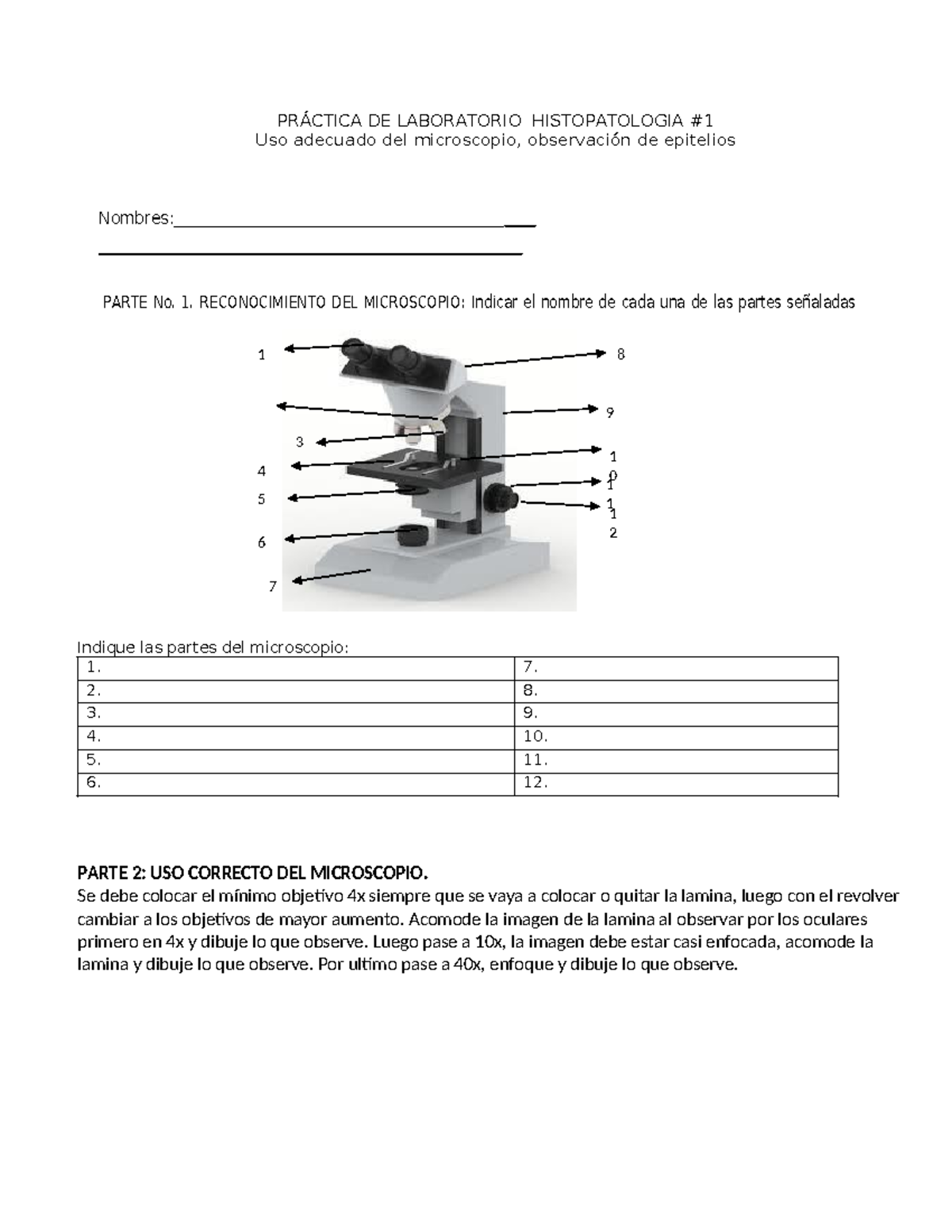 PRÁCTICA DE LABORATORIO HISTOPATOLOGÍA: Uso del Microscopio y Epitelios ...