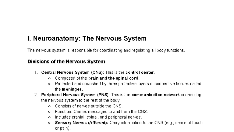 Neuroanatomy and Nervous System Overview: Ms Finals Study Notes - Studocu