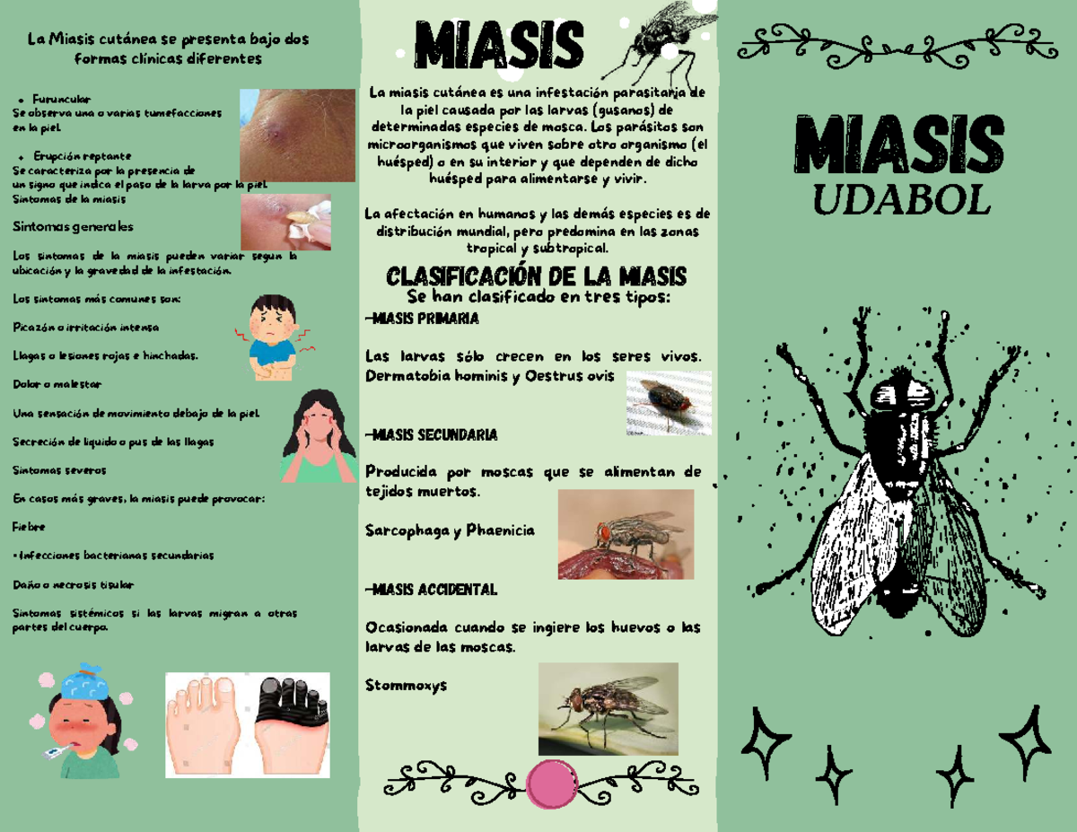 Clasificación y Síntomas de la Miasis - UDABOL - Studocu