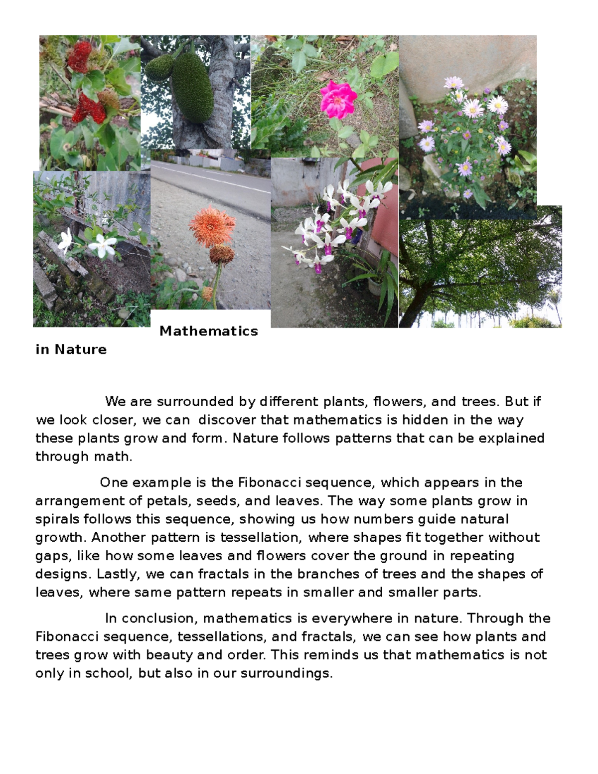 Mathematics in Nature: Patterns and Growth in Plants and Trees - Studocu