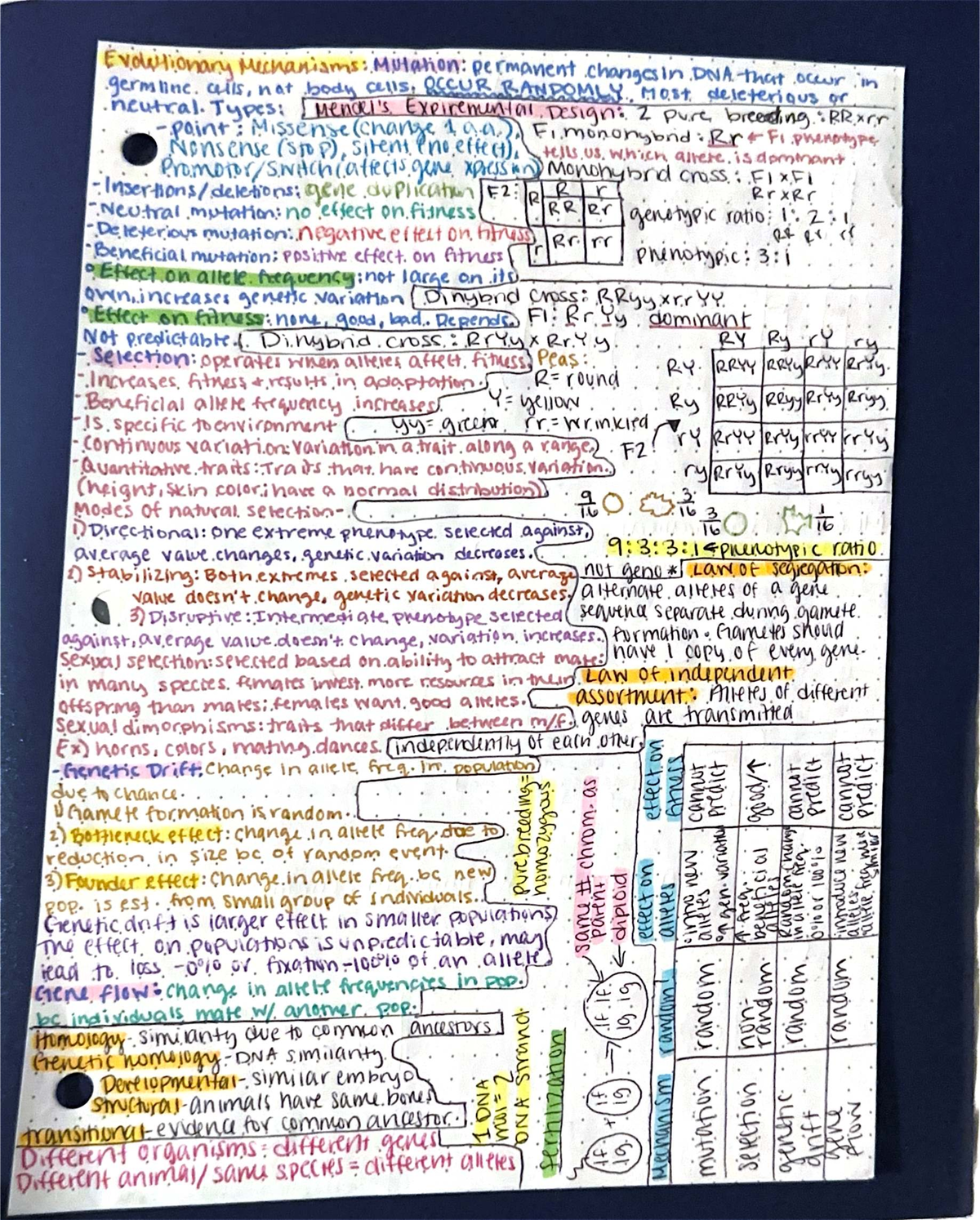 Evolutionary Mechanisms: Mutation and Natural Selection in Biology ...