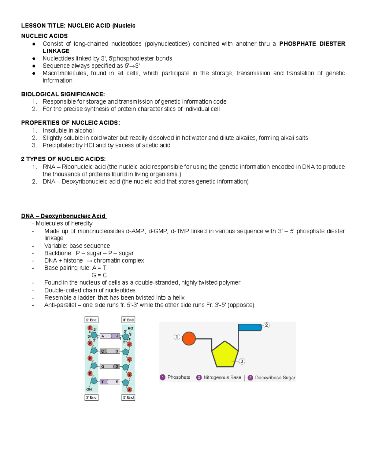 12 - Nucleic Acids: Structure, Functions, & Biological Significance ...
