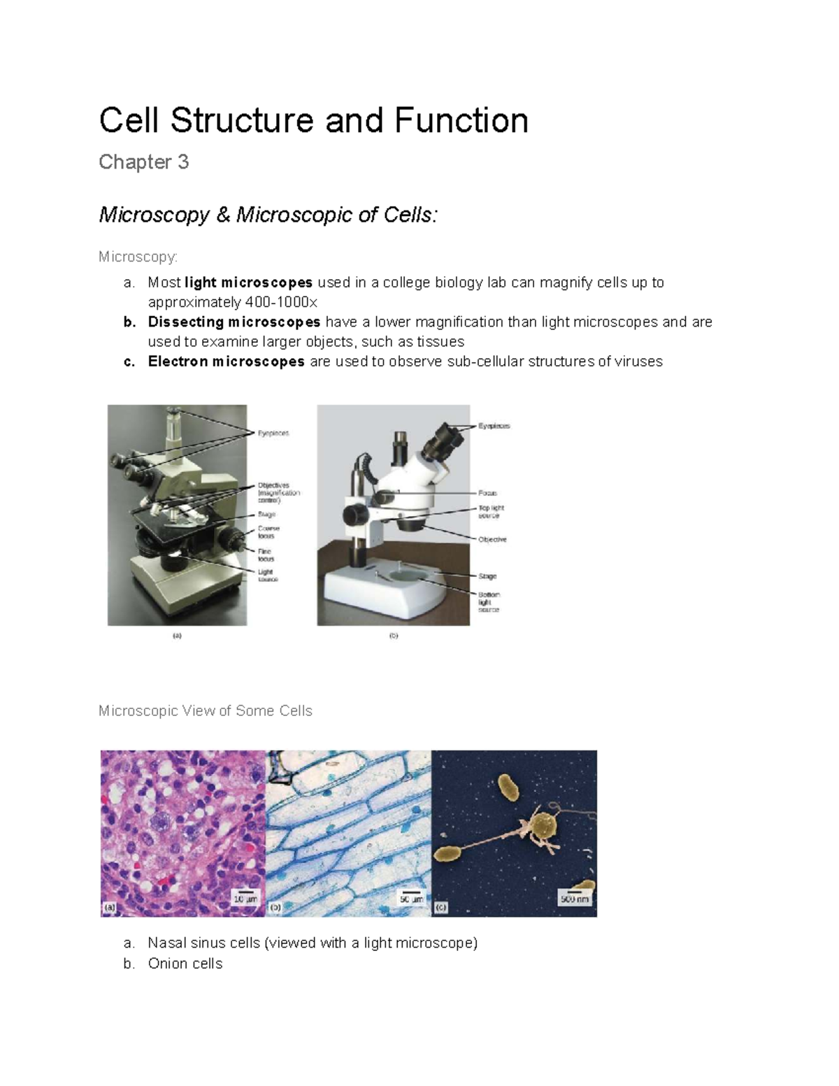 Cell Structure and Function (BIO101) - Overview of Transport Mechanisms and - Studocu