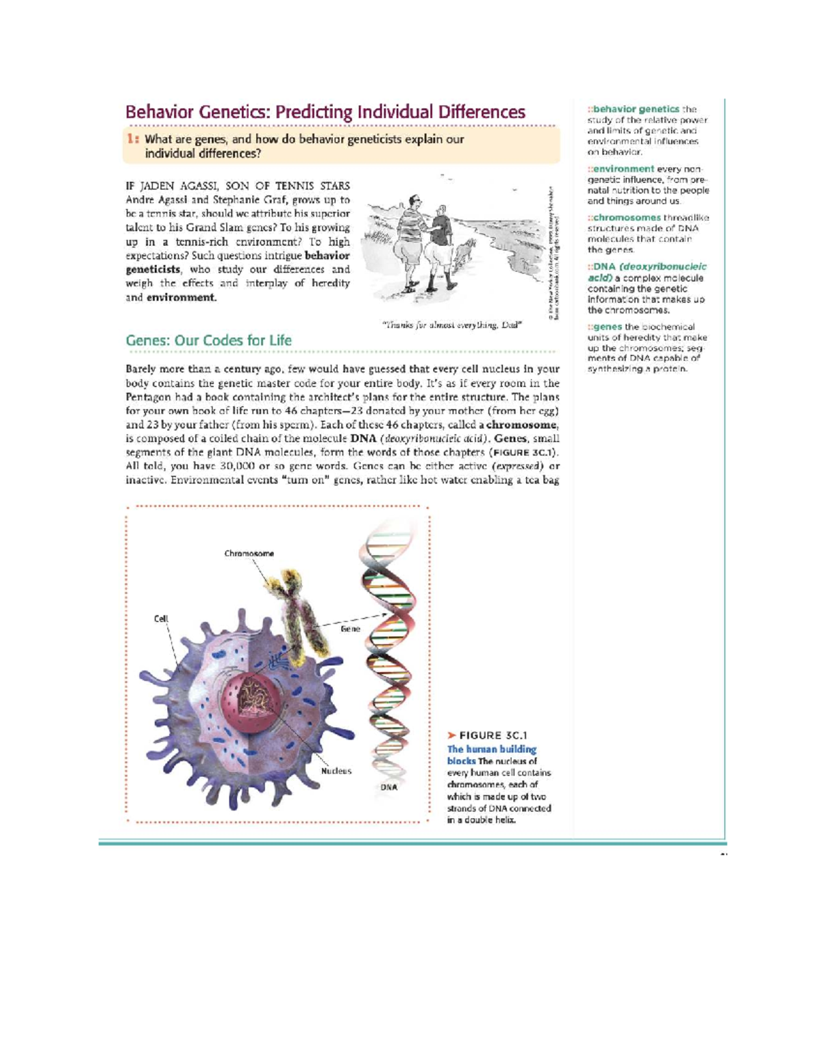 AP PSYCH 3B: Behavior Genetics and Individual Differences Study Guide ...