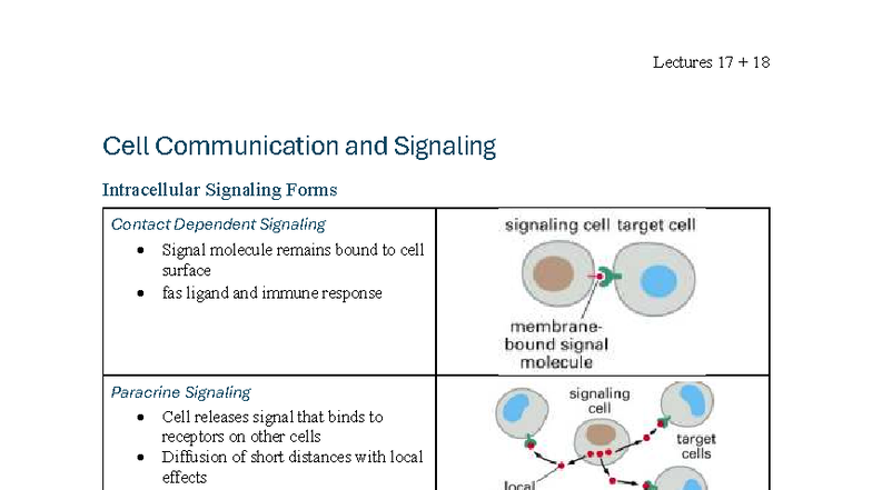 Cell Communication and Signaling: Lectures 17 & 18 Overview - Studocu