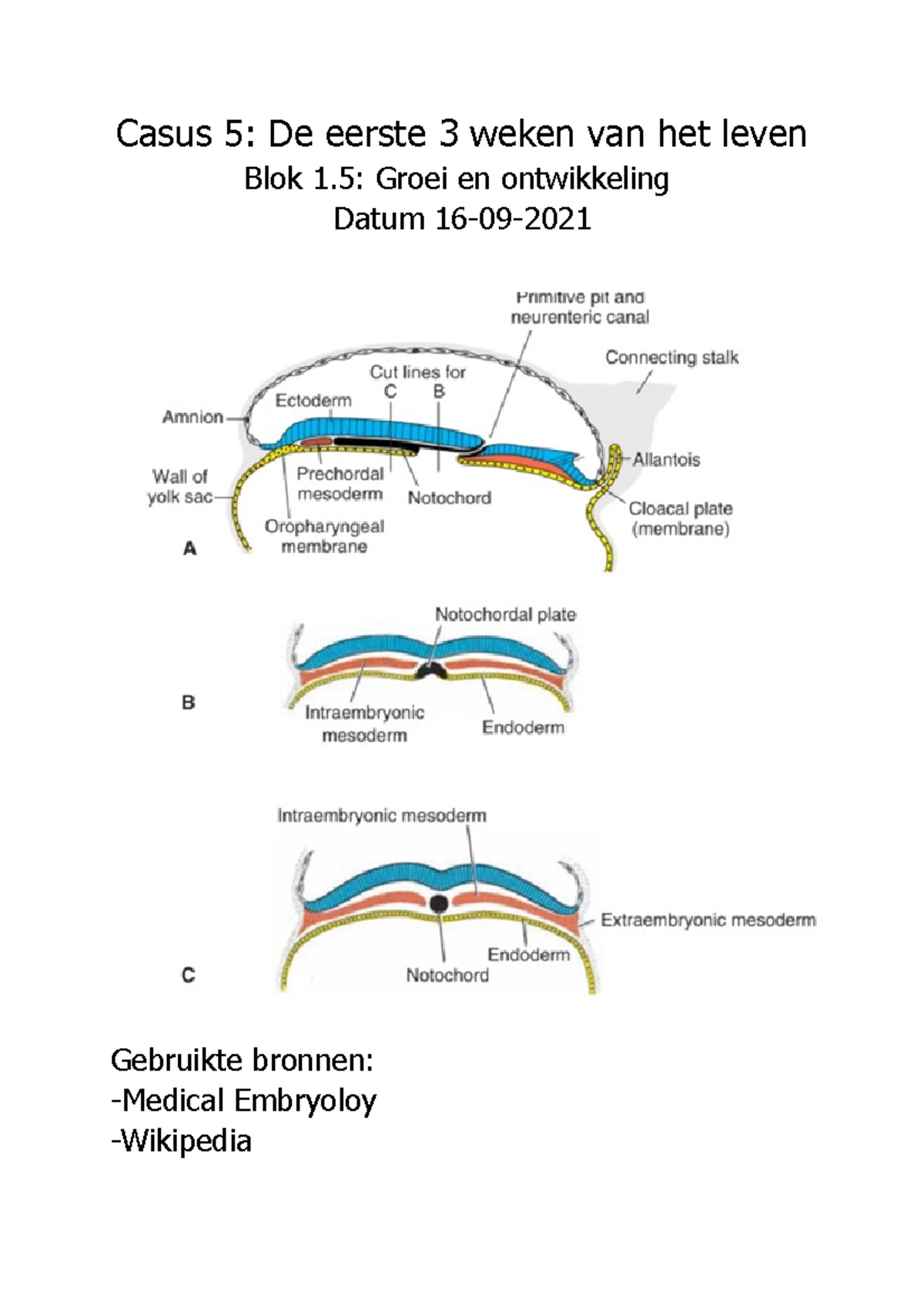 Casus 10: Secundaire Geslachtskenmerken en Menstruatiecyclus - GEN 1104 ...