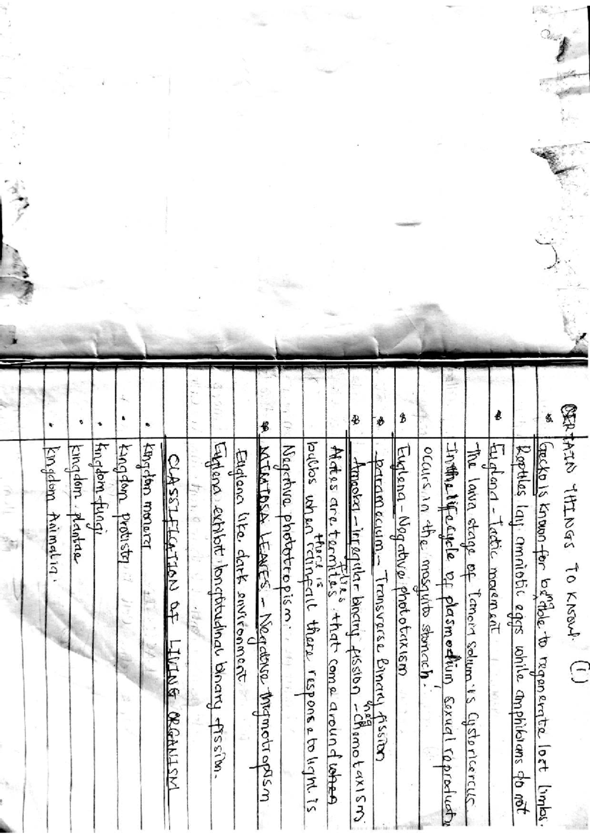 Biology 2025 - Study Notes on Cellular Processes and Organisms - Studocu